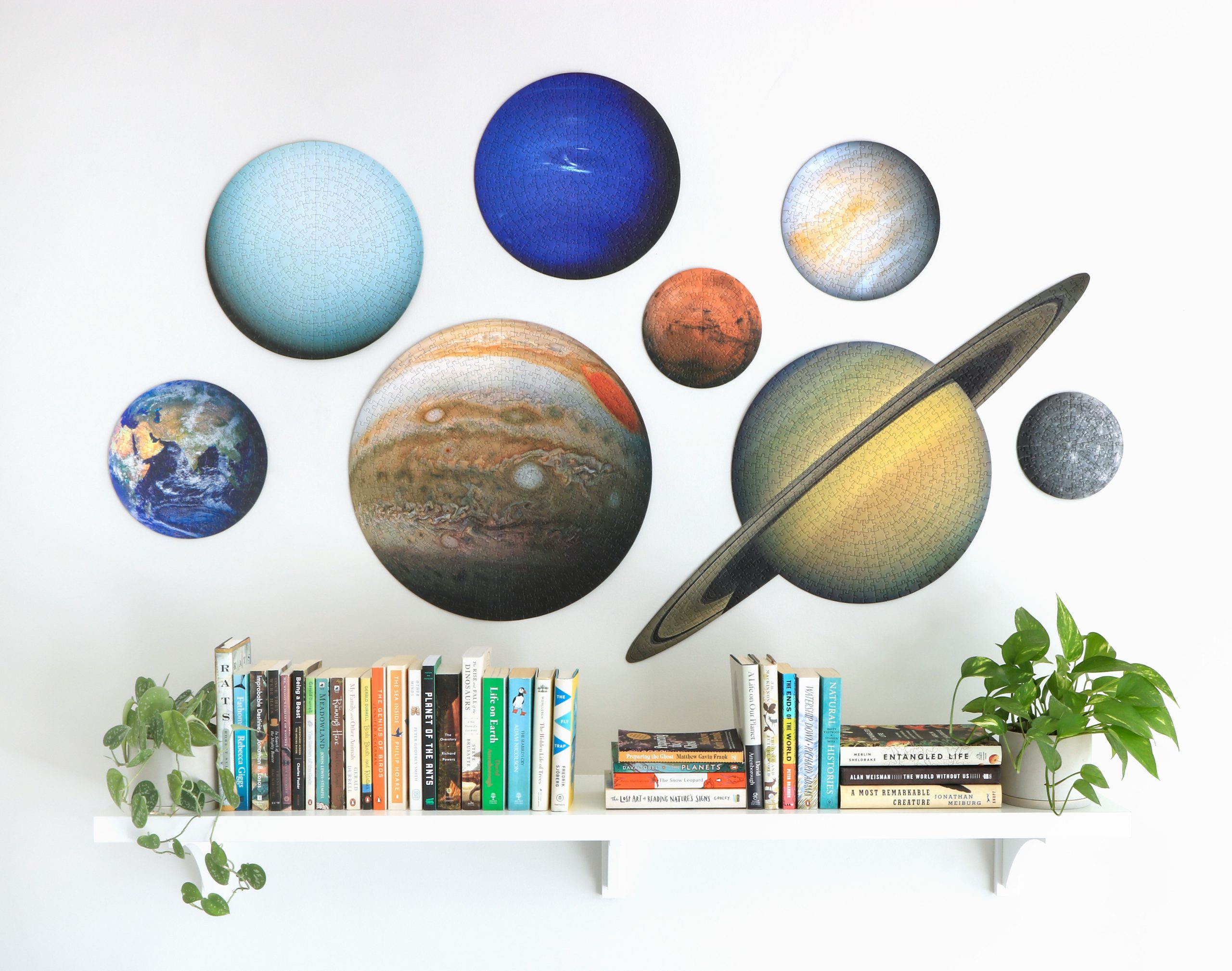 planets with shelf — FENNEC