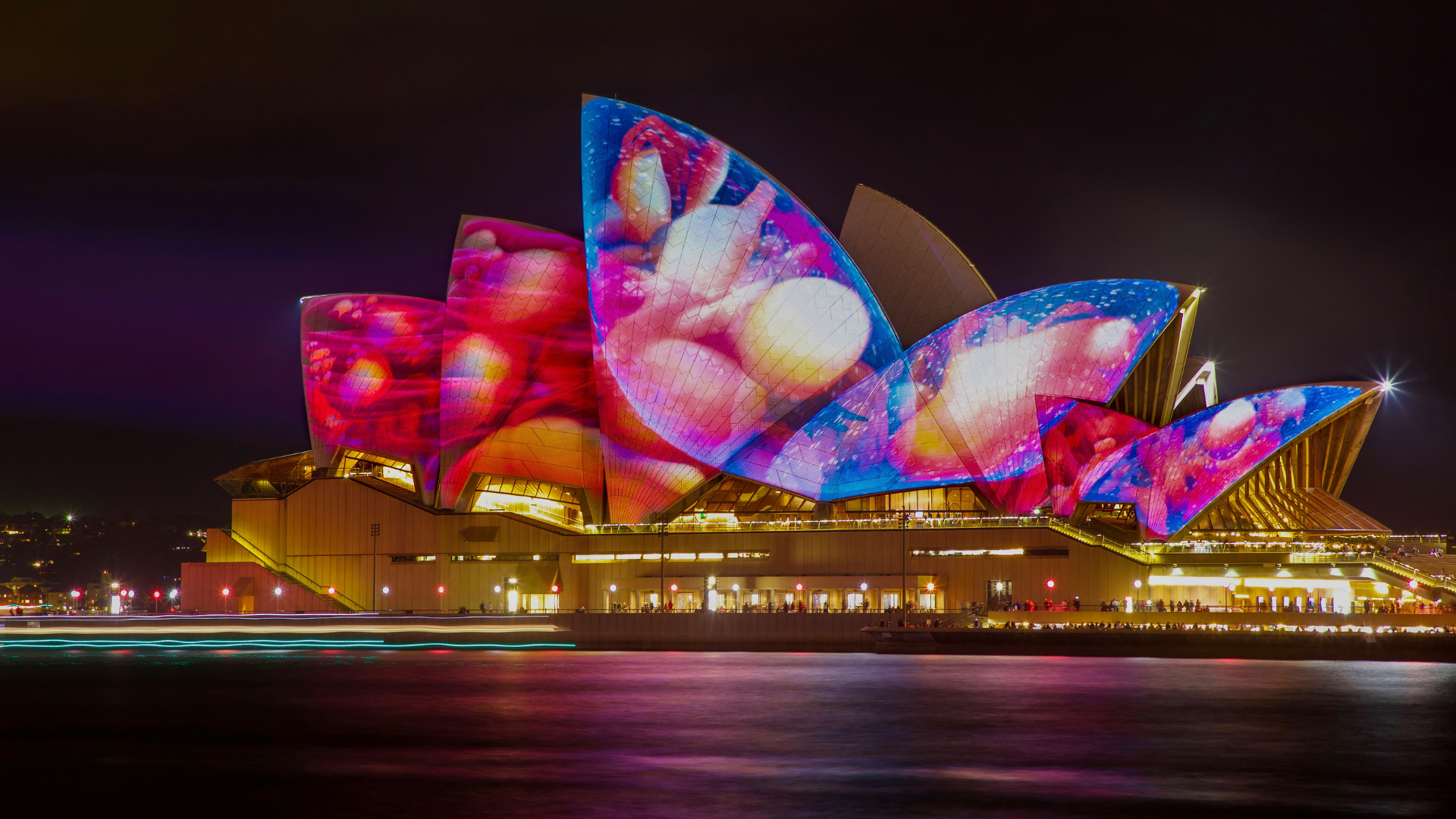 Best Things to See and Do at Vivid Sydney — FENNEC